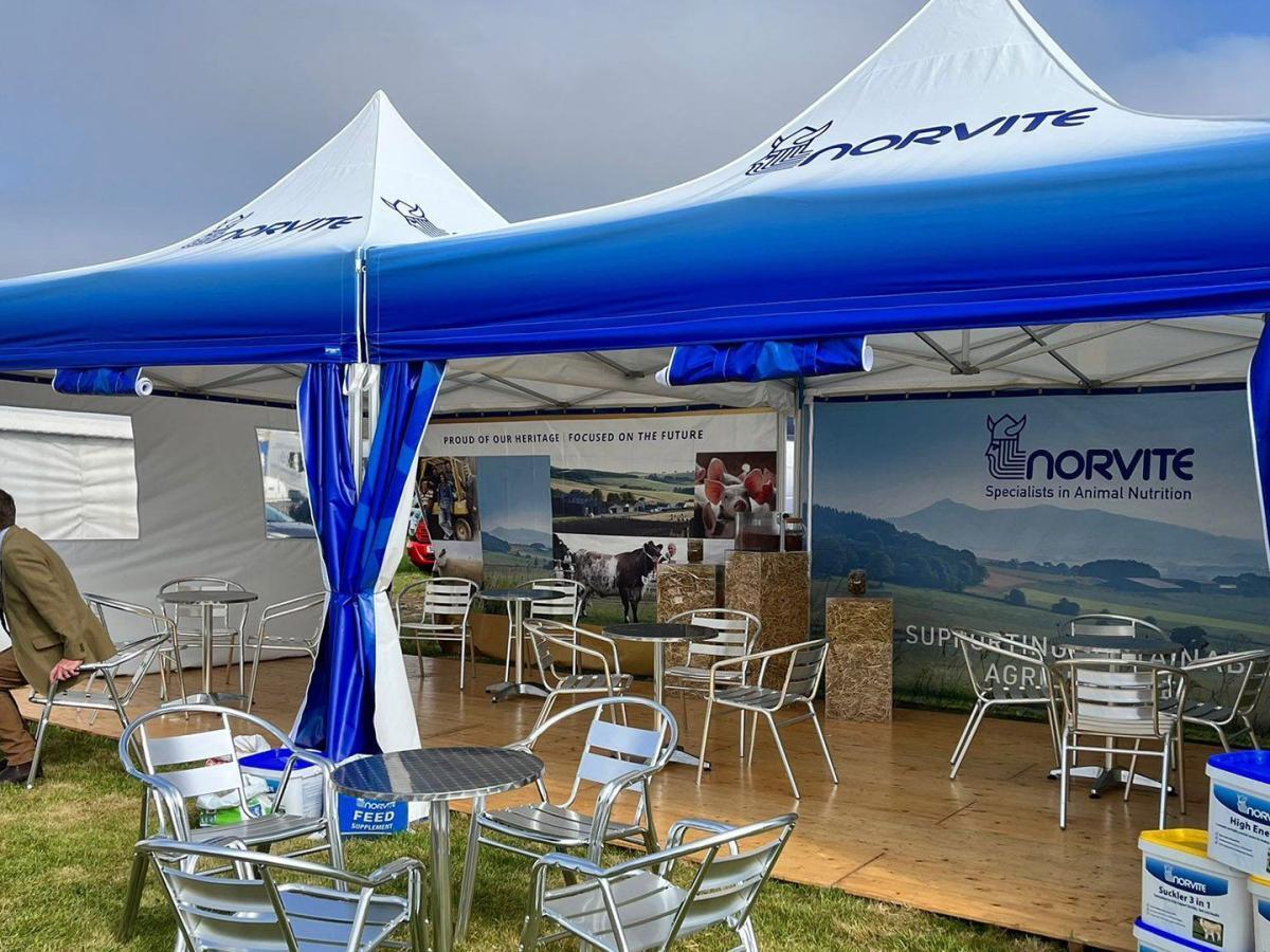 Custom Pop-Up Gazebo in Ireland – Branded Gazebos for Events
